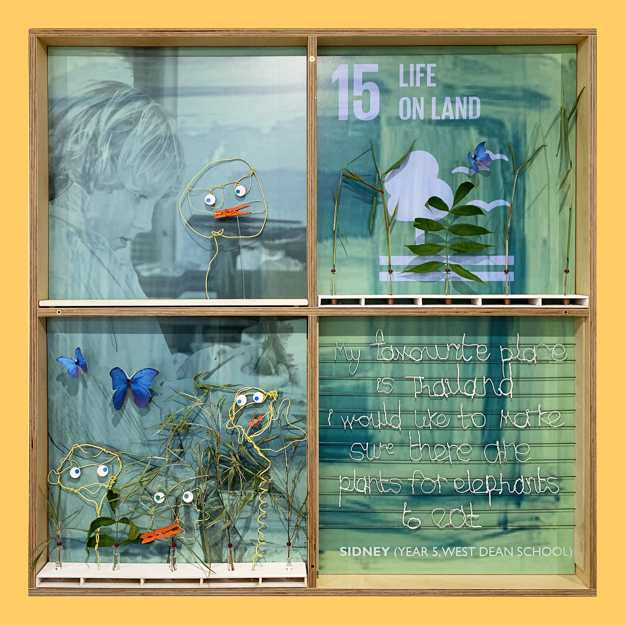 life-on-land | Bob Pulley